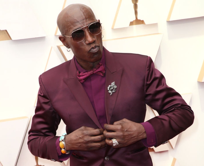 Wesley Snipes Looks to Make Financial Comeback After Doing Prison Time ...